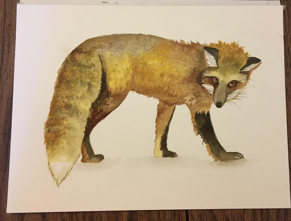 Watercolor Fox | Skillshare Student Project