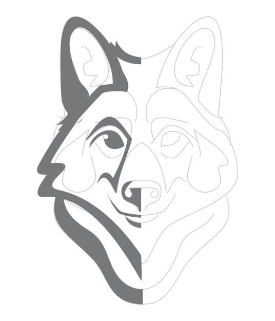 Blue Wolf | Skillshare Student Project