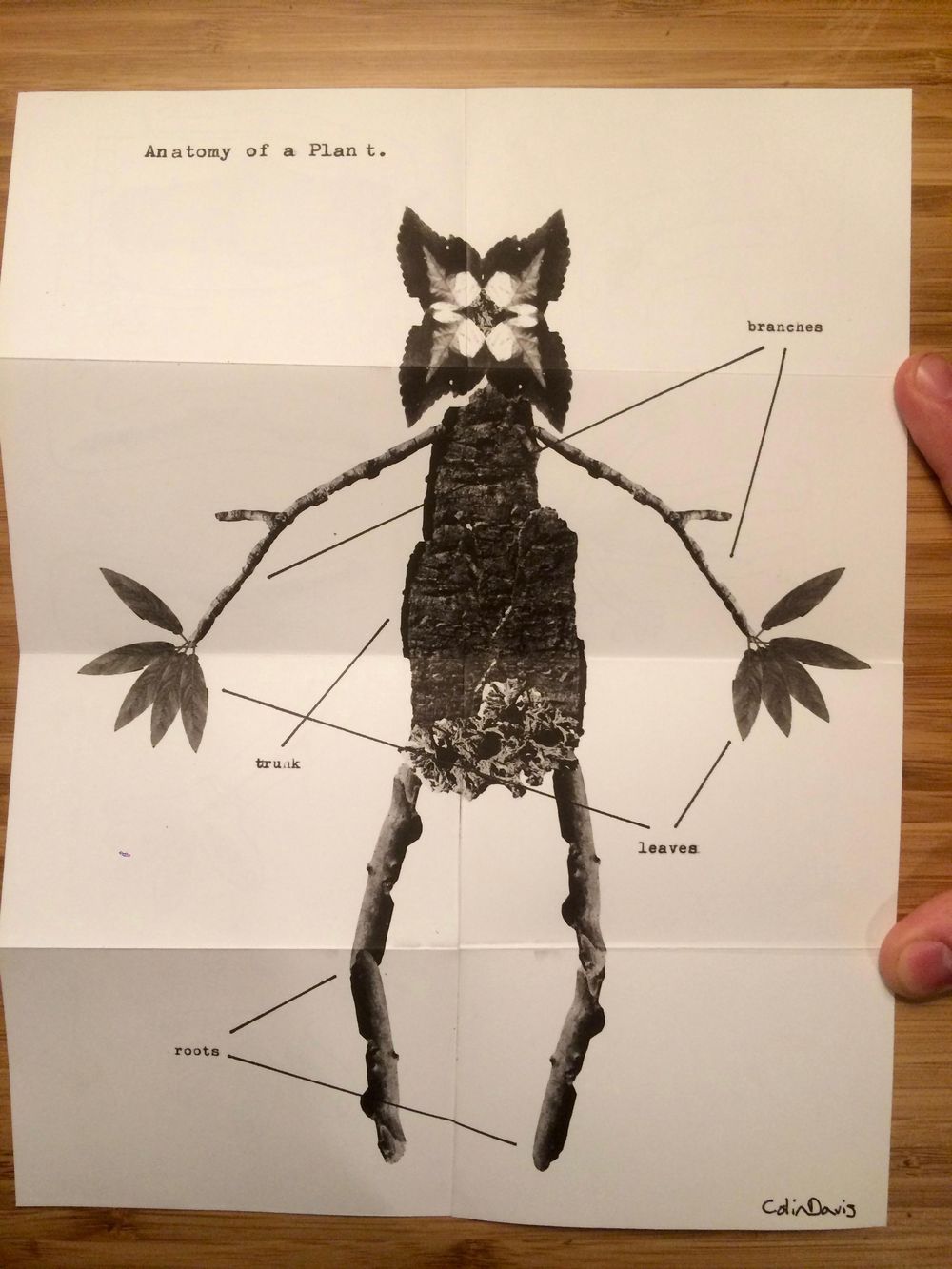 I am a Plant | Skillshare Student Project