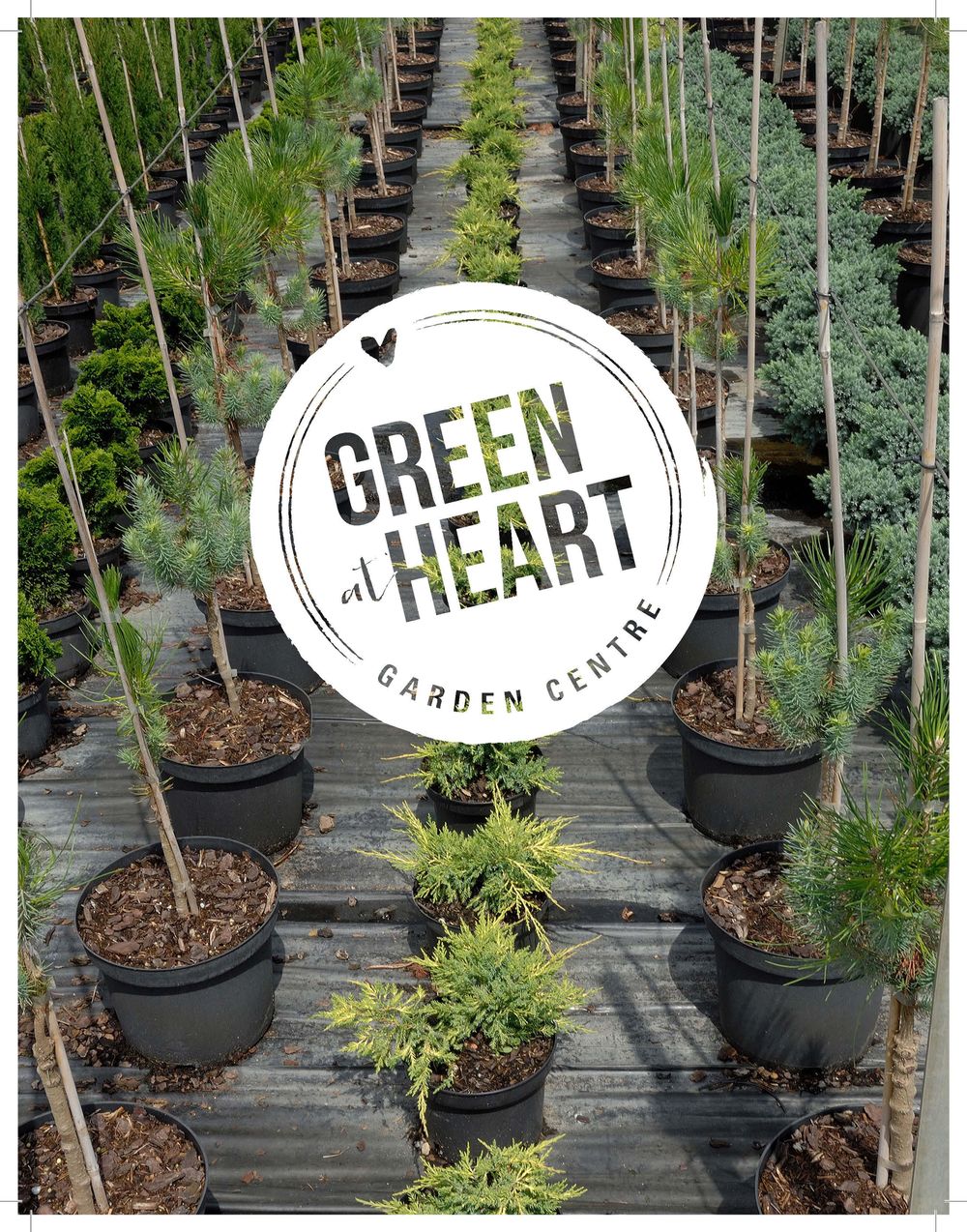 Excercise 1 & 2 | Skillshare Student Project