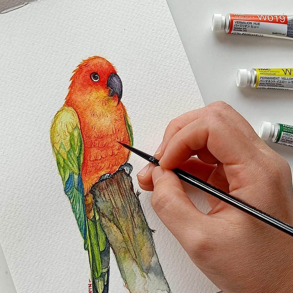Sun Conure Bird | Skillshare Student Project