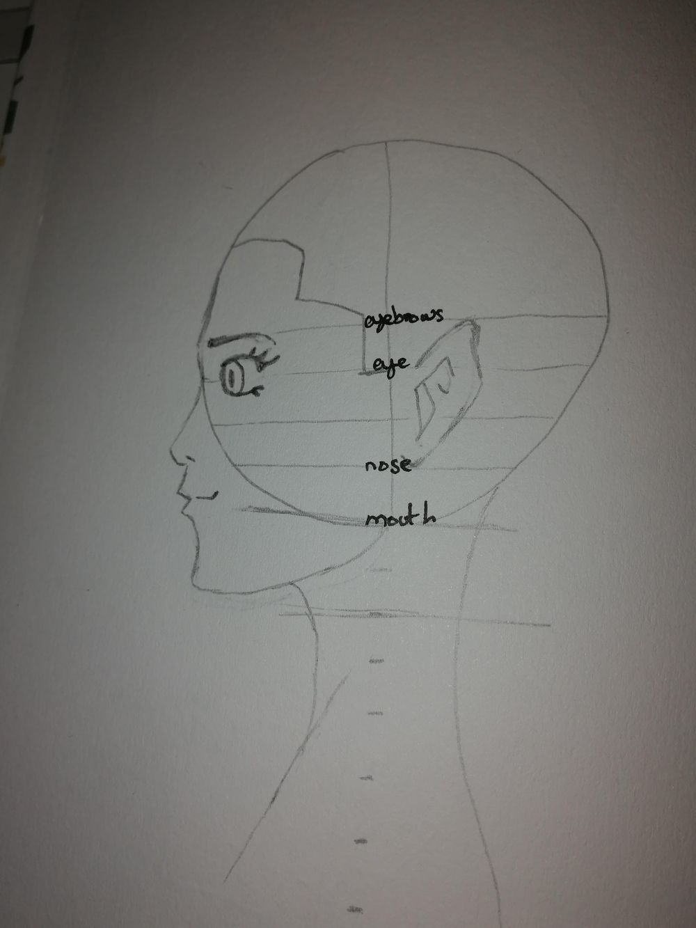 Profile draw | Skillshare Student Project