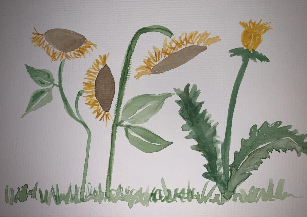 Undeveloped and still processing | Skillshare Student Project