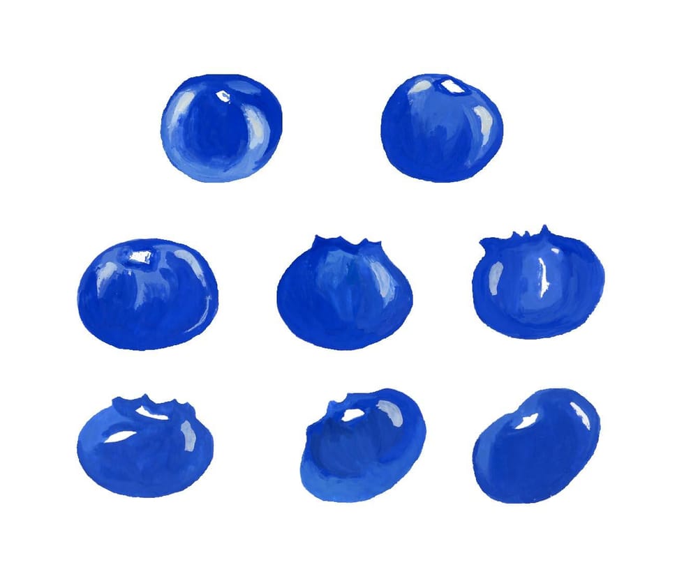 Fruit Studies | Skillshare Student Project