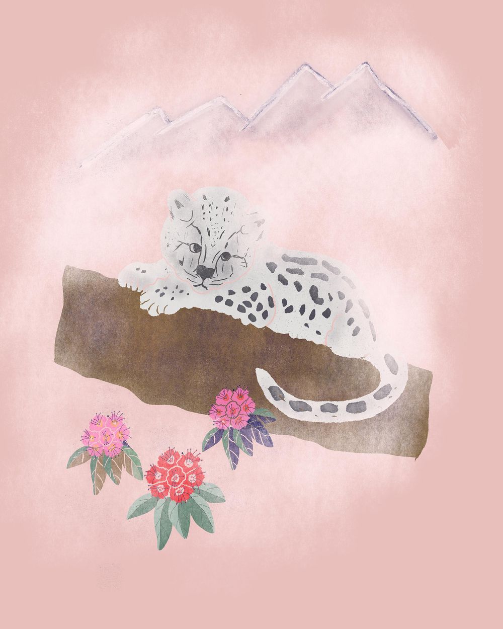 Snow Leopard Cub | Skillshare Student Project