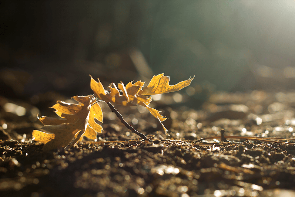 SAMPLE PROJECT | Skillshare Student Project