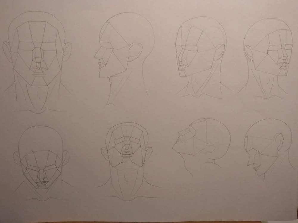 Head Drawing Basics | Skillshare Student Project