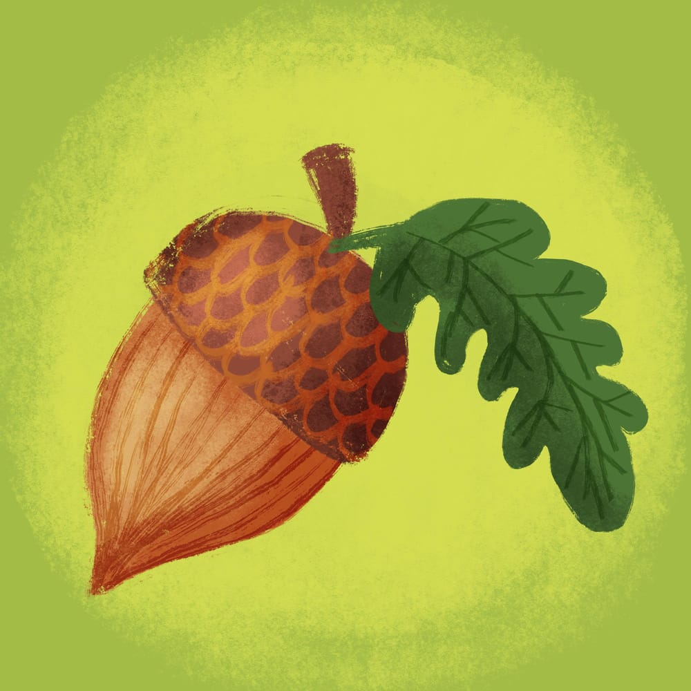 2nd Week tracker | Skillshare Student Project