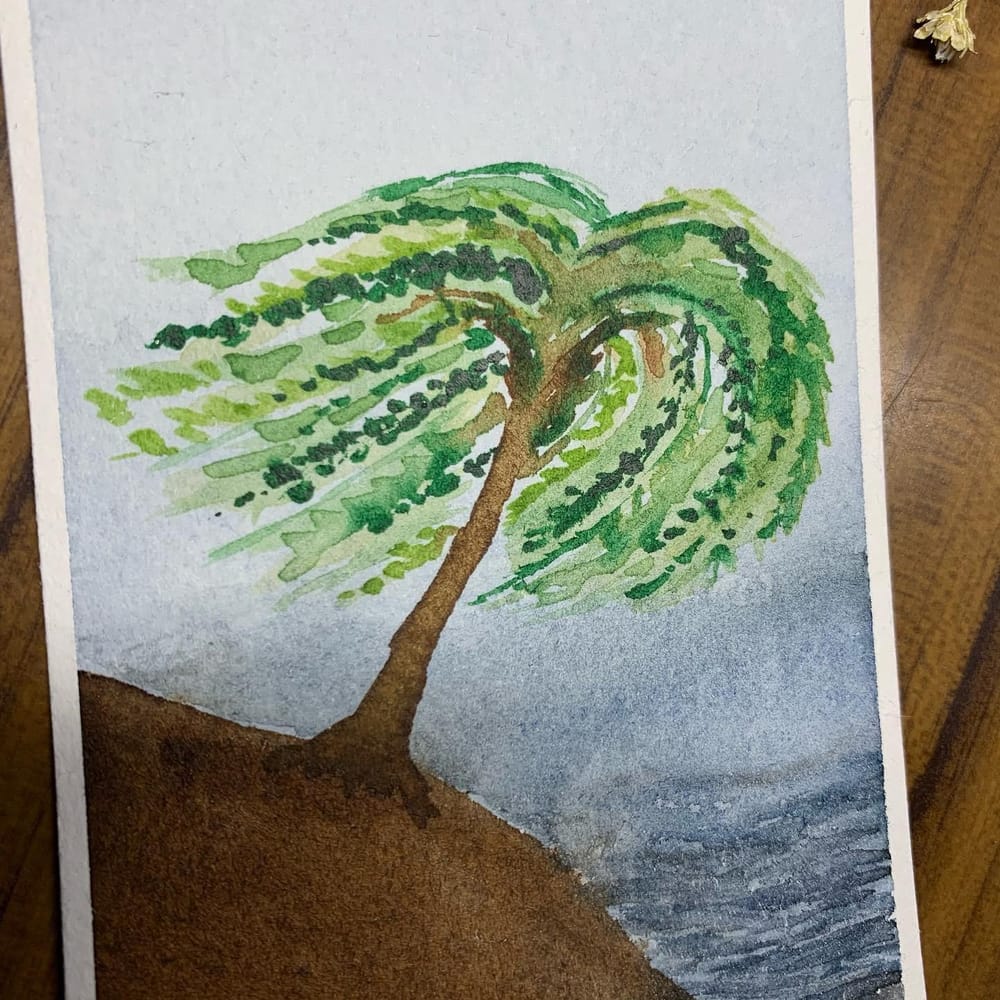 Willow | Skillshare Student Project