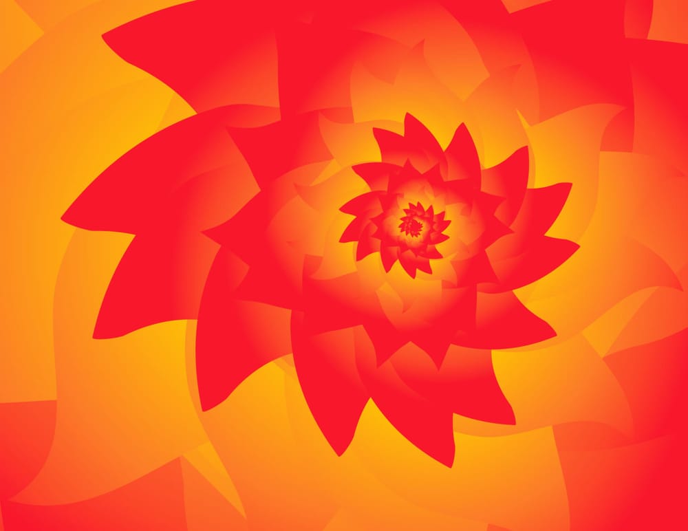 Intro to Illustrator | Skillshare Student Project