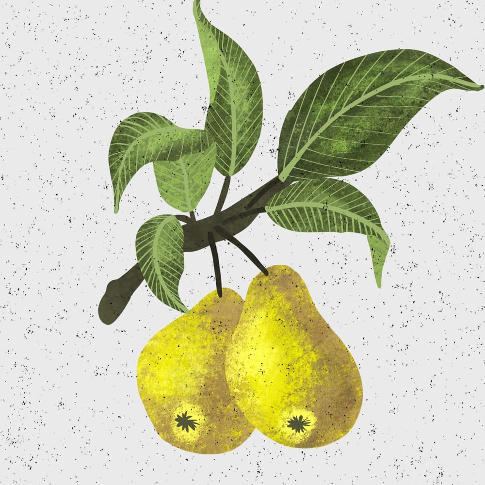 My class project | Skillshare Student Project