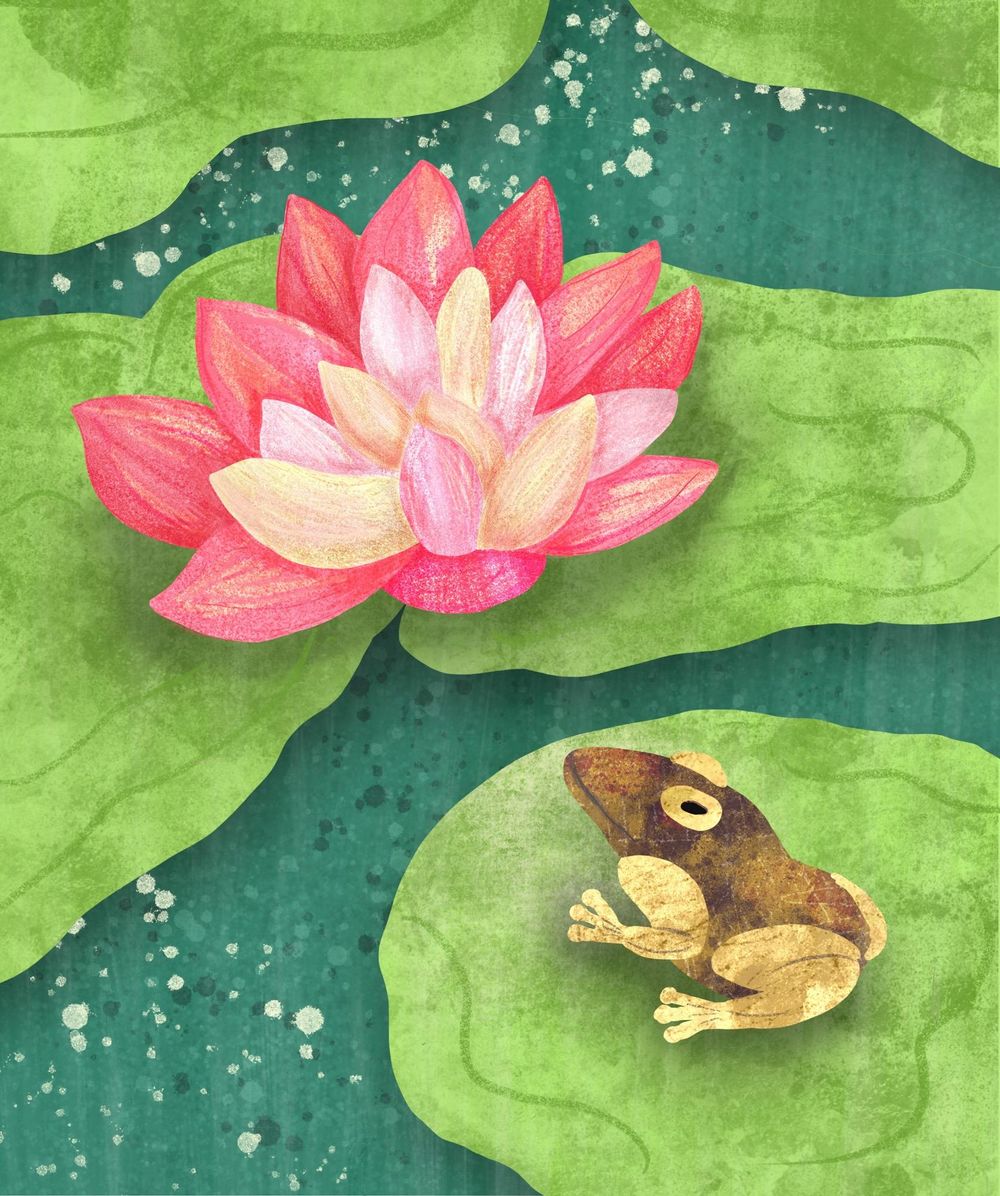 Lilypad and frog | Skillshare Student Project