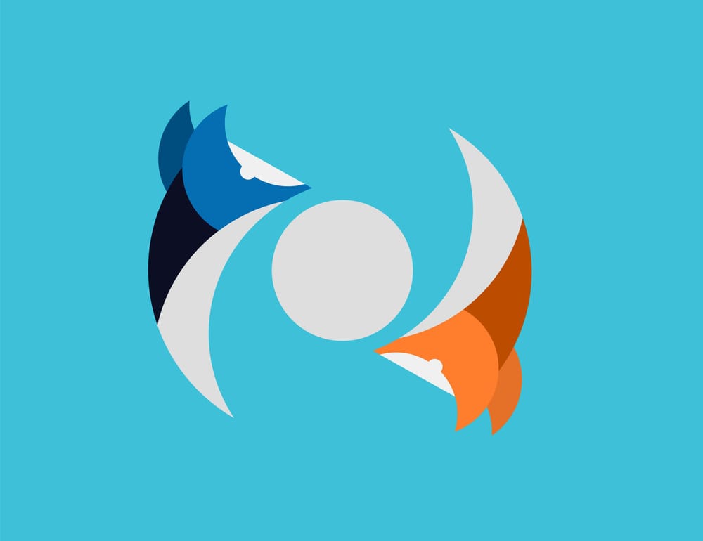 Collection | Skillshare Student Project