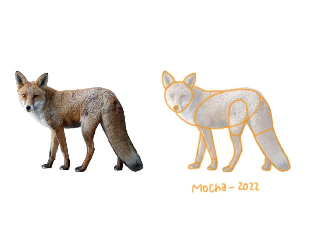 Breaking Down into simple shapes | Skillshare Student Project