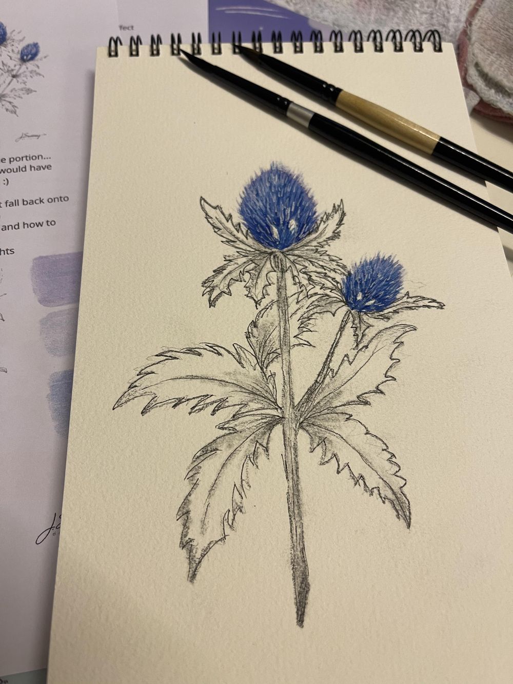 Watercolor & Graphite | Skillshare Student Project