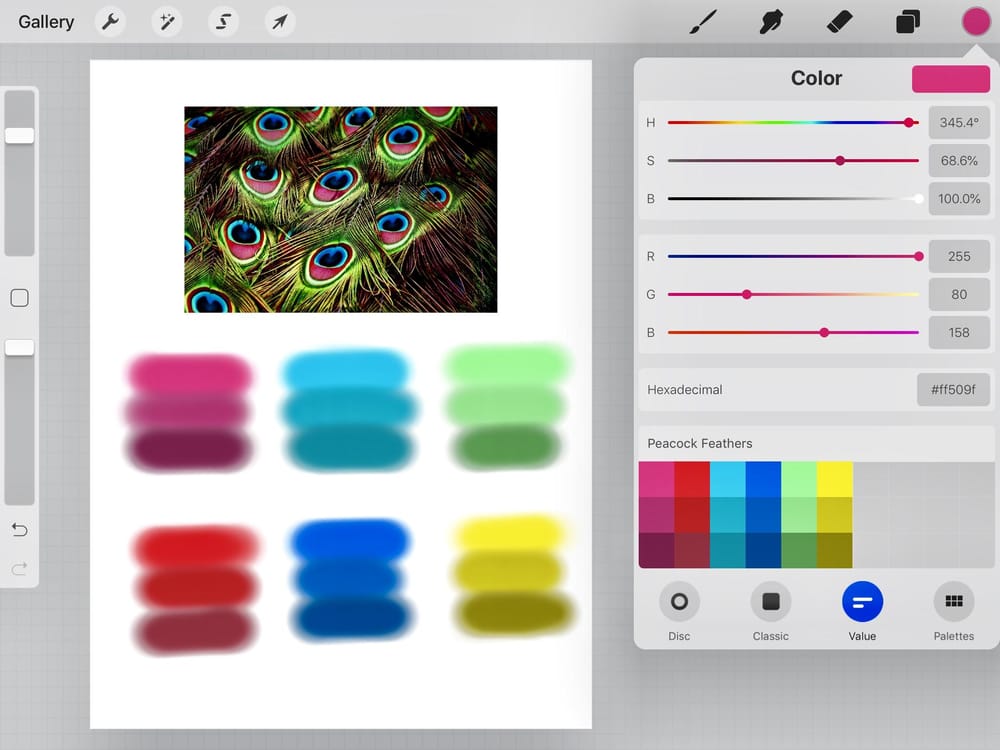 Peacock Feathers | Skillshare Student Project