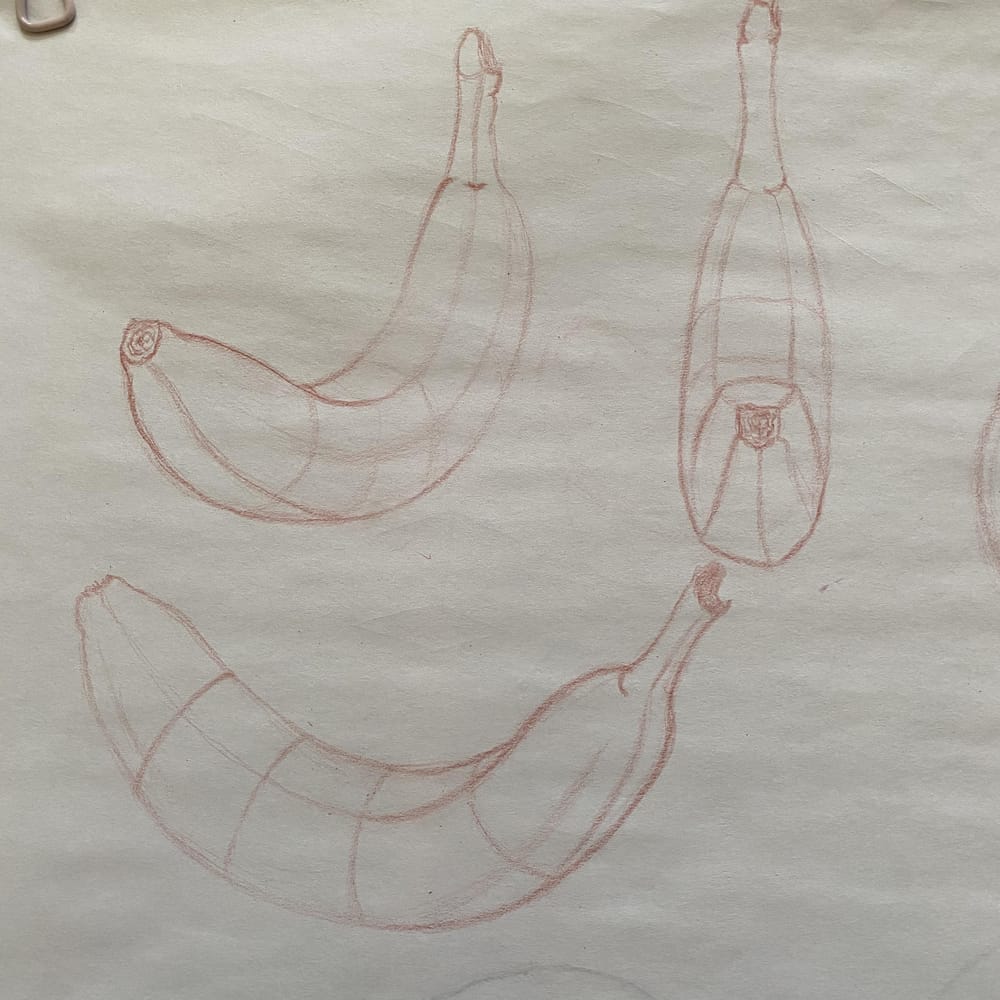 Contours/Drawing with Compelling Contours and Foreshortening ...