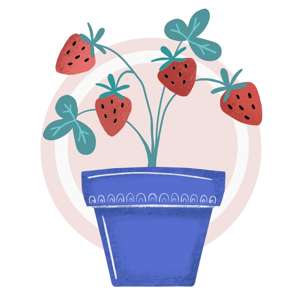 Learning the basics | Skillshare Student Project