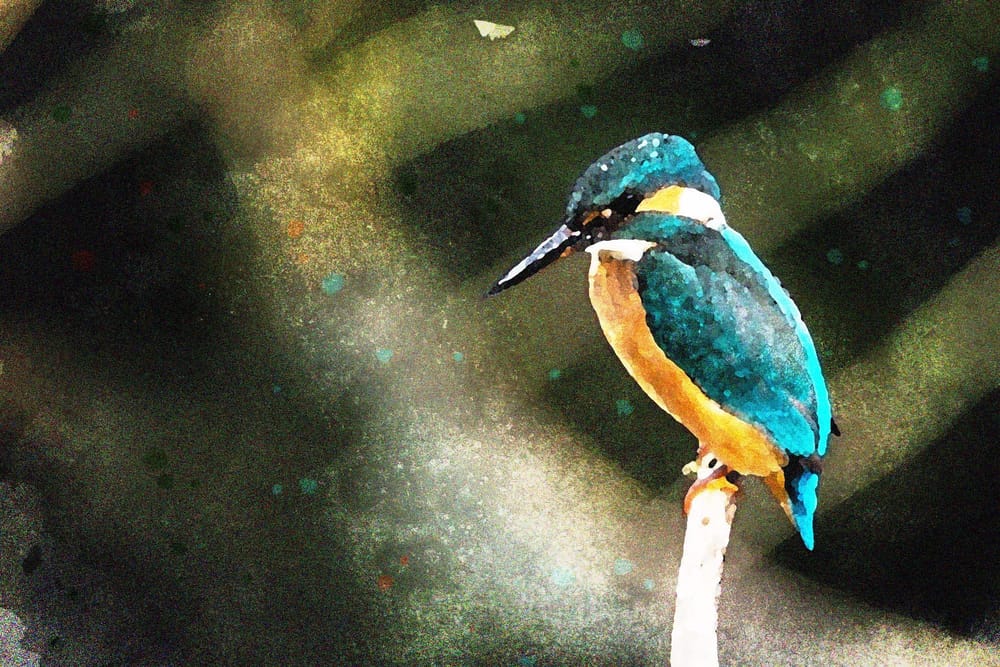 Photoshop Advanced Projects | Skillshare Student Project