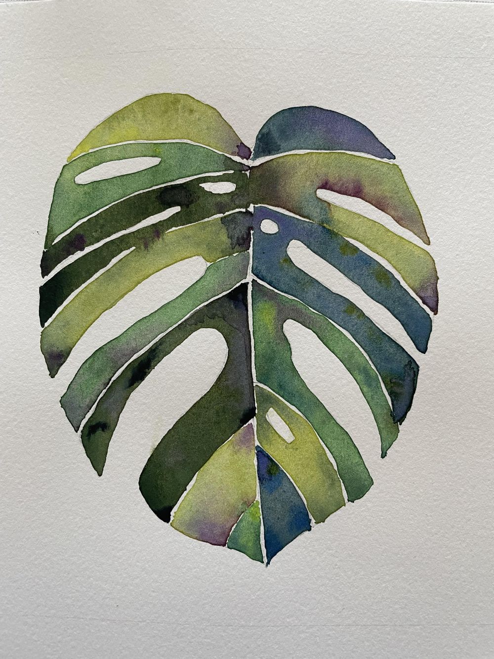 Cat's monstera leaf | Skillshare Student Project