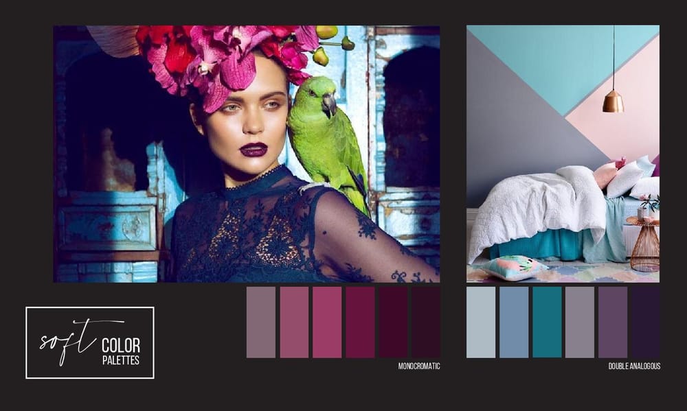Color Palettes | Skillshare Student Project