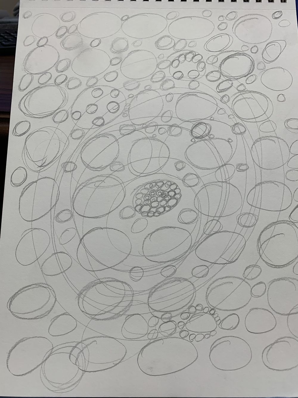 Circles & Ovals | Skillshare Student Project