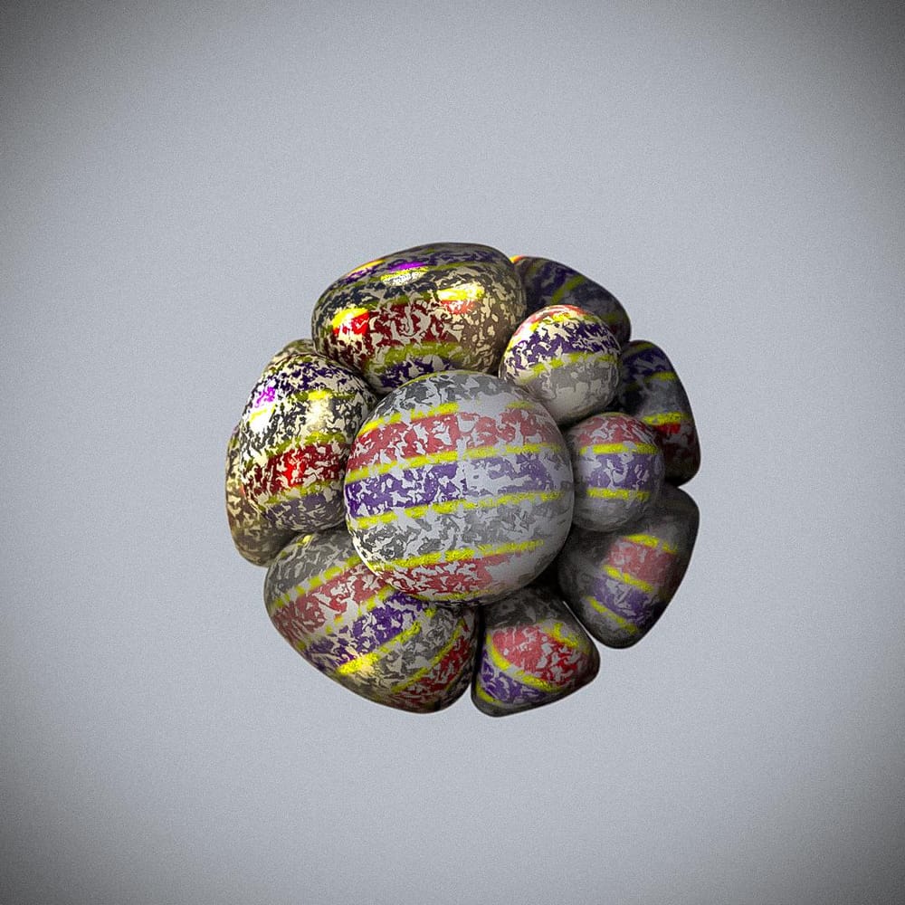 Soft Body Coral before and after | Skillshare Student Project