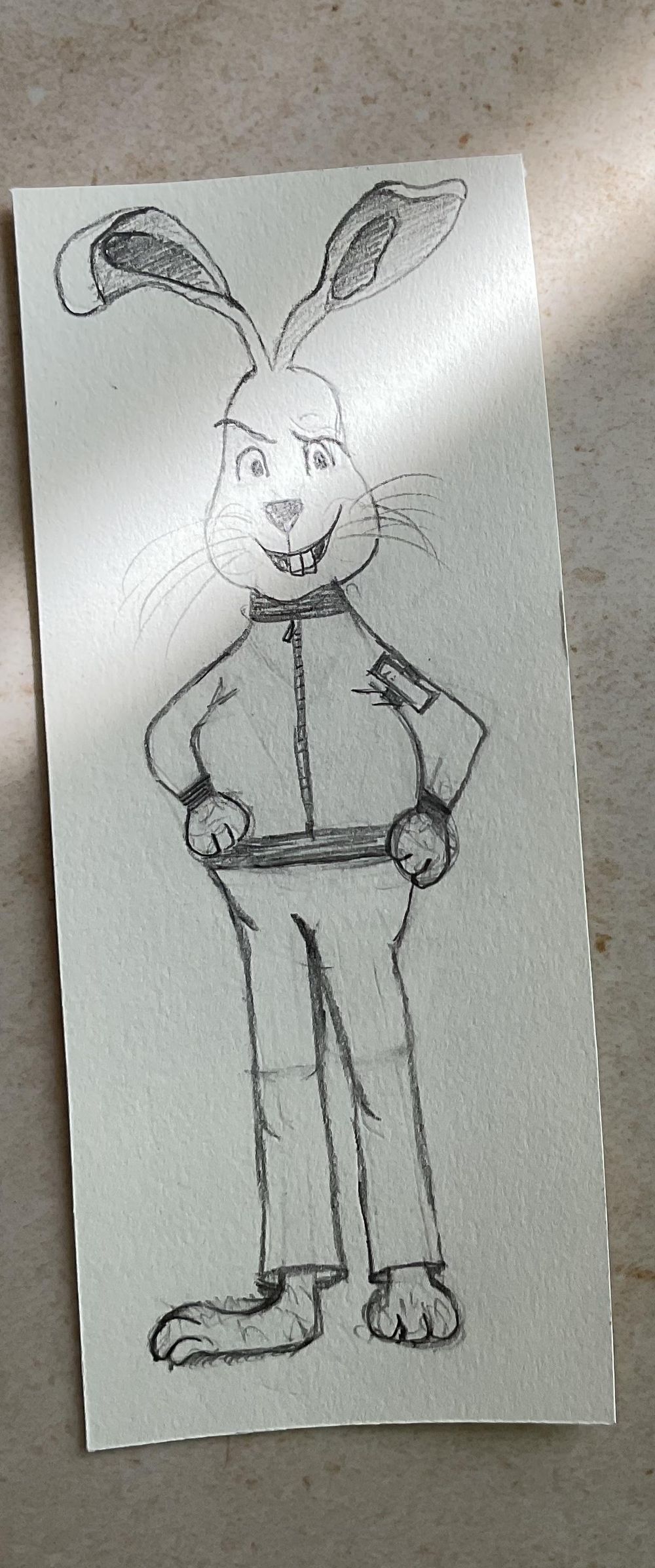 Tortoise and The Hare | Skillshare Student Project