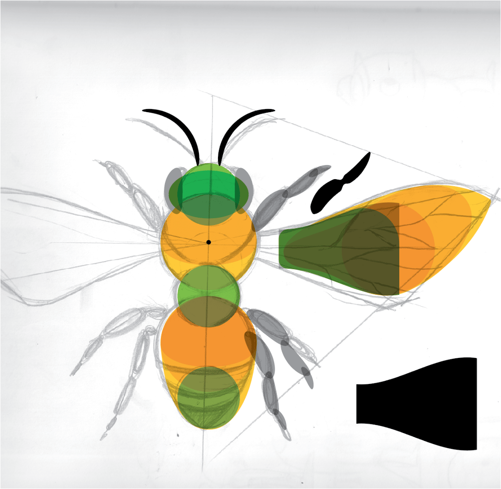 Honey Bee | Skillshare Student Project