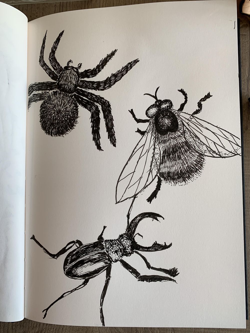 Fearless art project | Skillshare Student Project