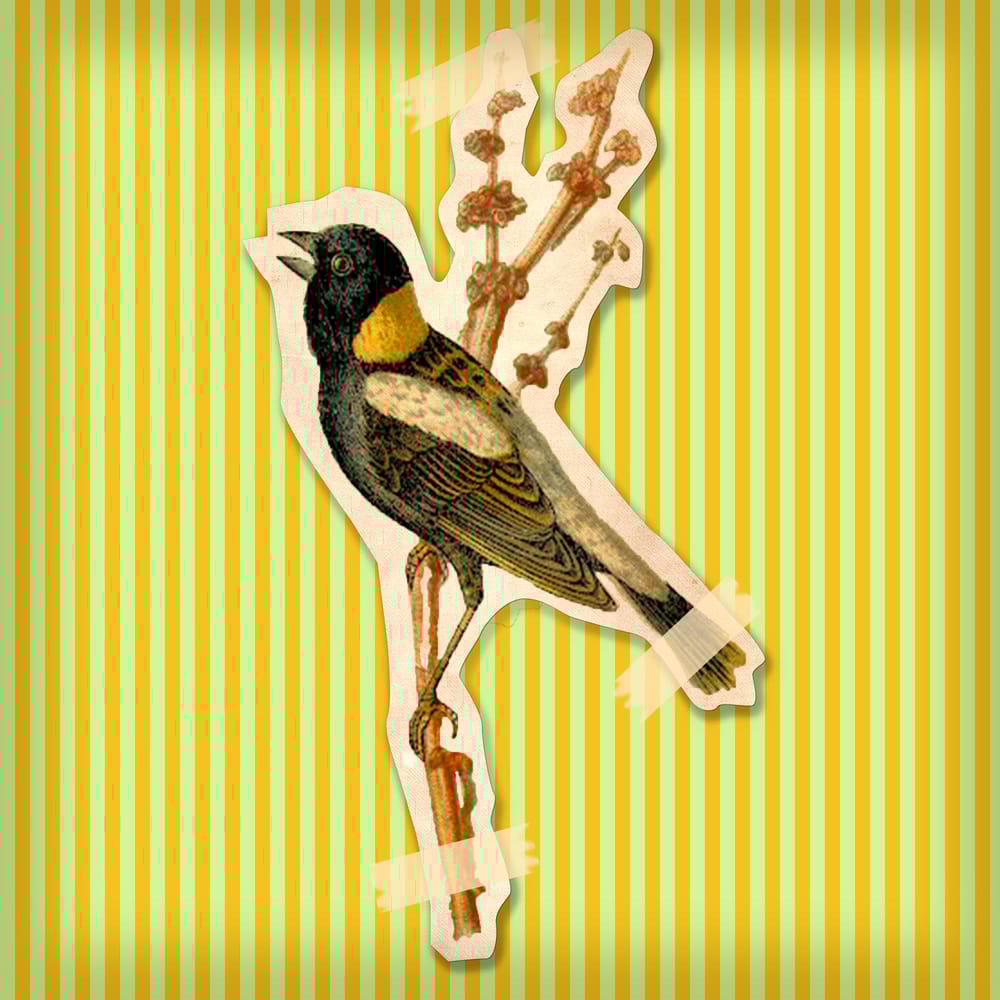 Vintage Image Cutout Effect In Photoshop Skillshare Student Project