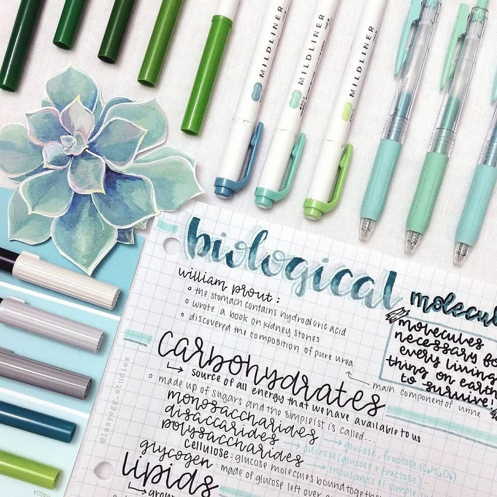 Photos that Match My Instagram Theme | Skillshare Student Project