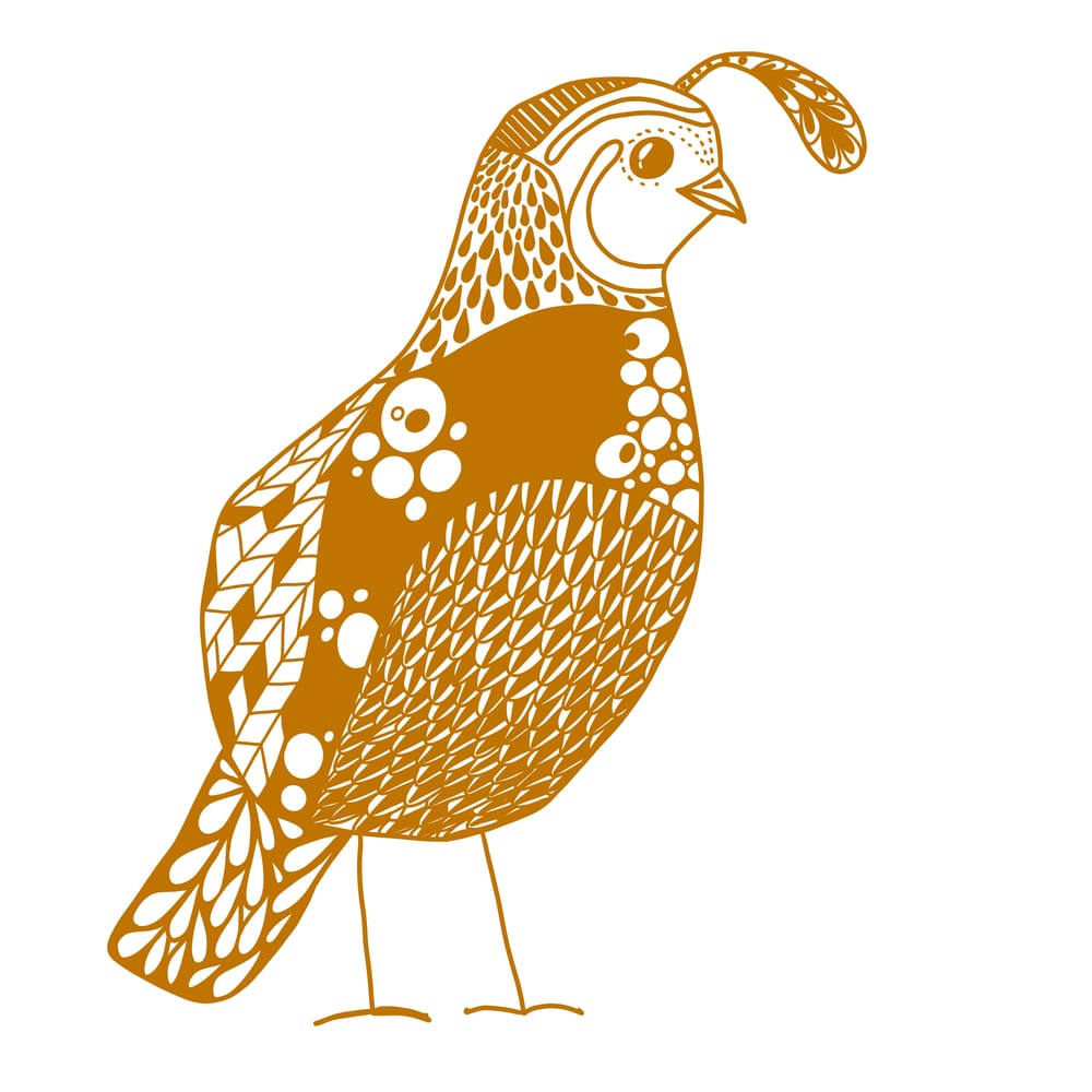 Daily Sketchbook - Birds | Skillshare Student Project