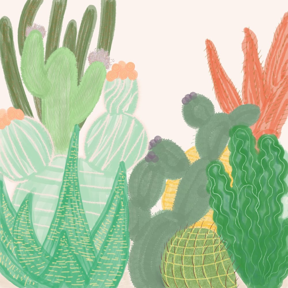 Cactus | Skillshare Student Project