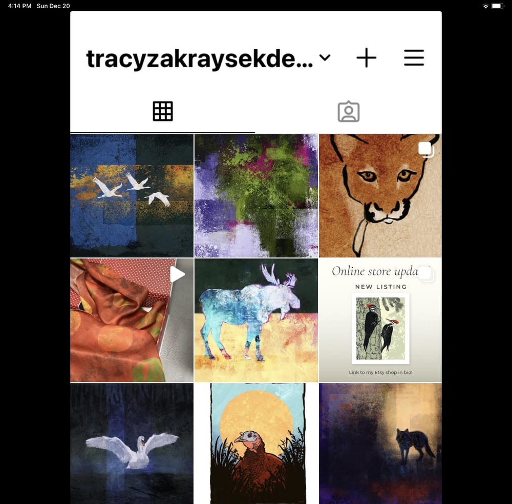 My Instagram Profile Skillshare Student Project