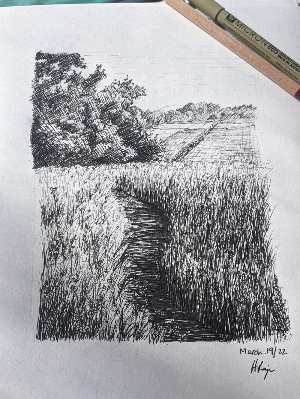 Pen & Ink Drawing Project | Skillshare Student Project