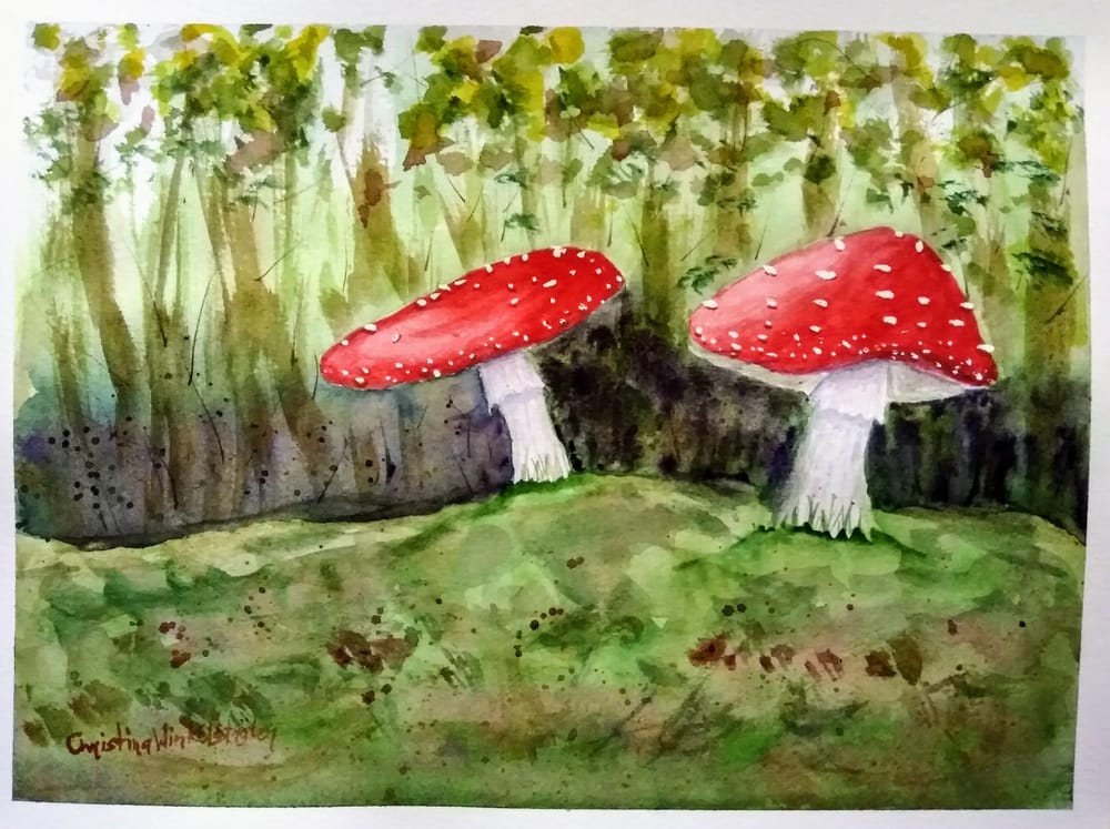 Pine cone and toadstool mushrooms | Skillshare Student Project