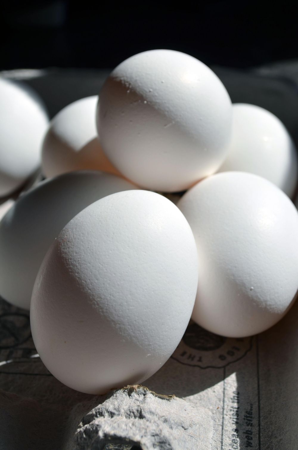 Deviled Eggs | Skillshare Student Project