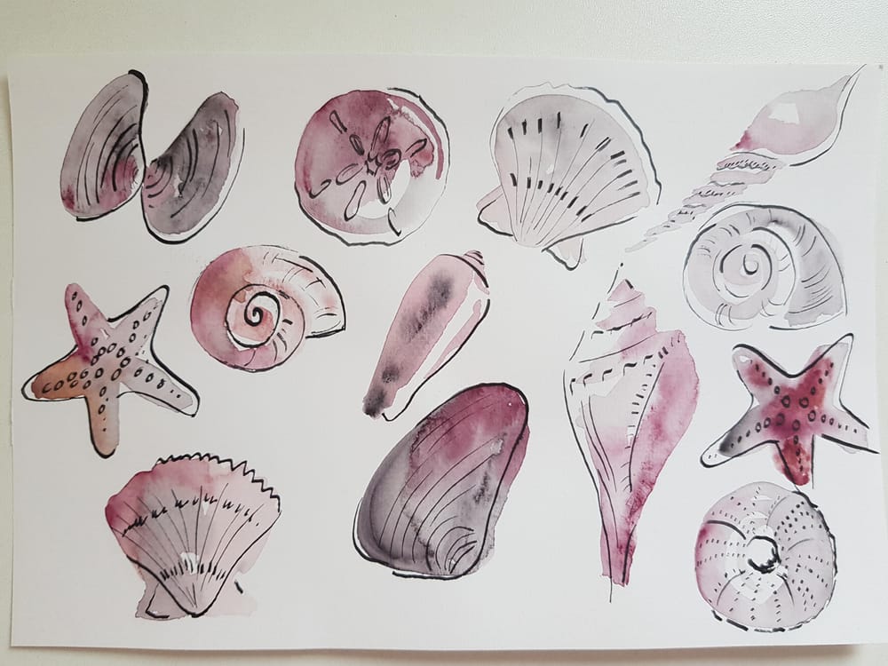 Fruits with Watercolour and Ink | Skillshare Student Project