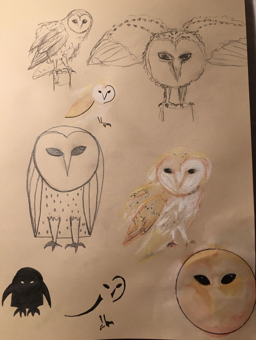 Creative Experiments | Skillshare Student Project