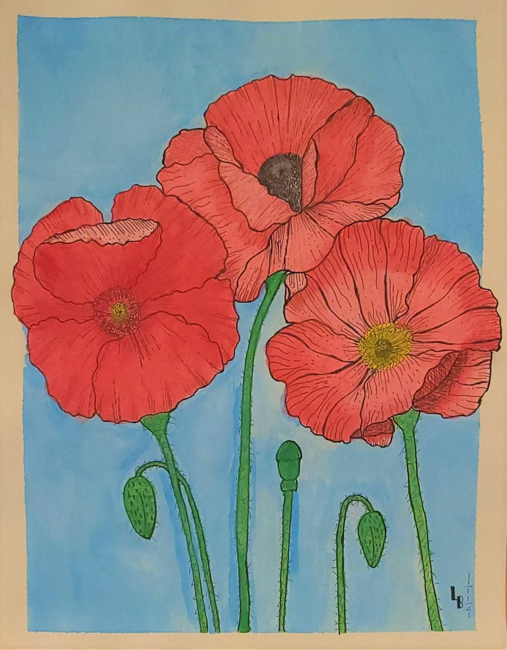poppy project | Skillshare Student Project