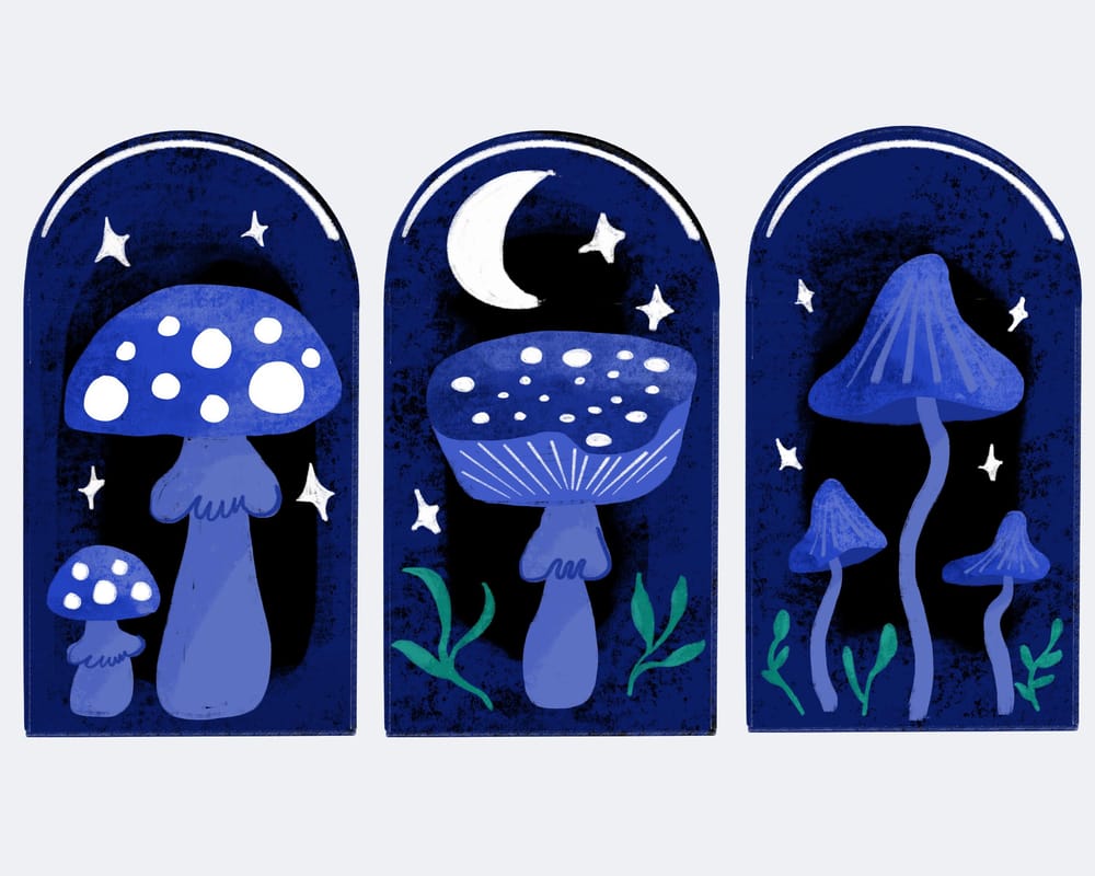 Sample Mushroom | Skillshare Student Project