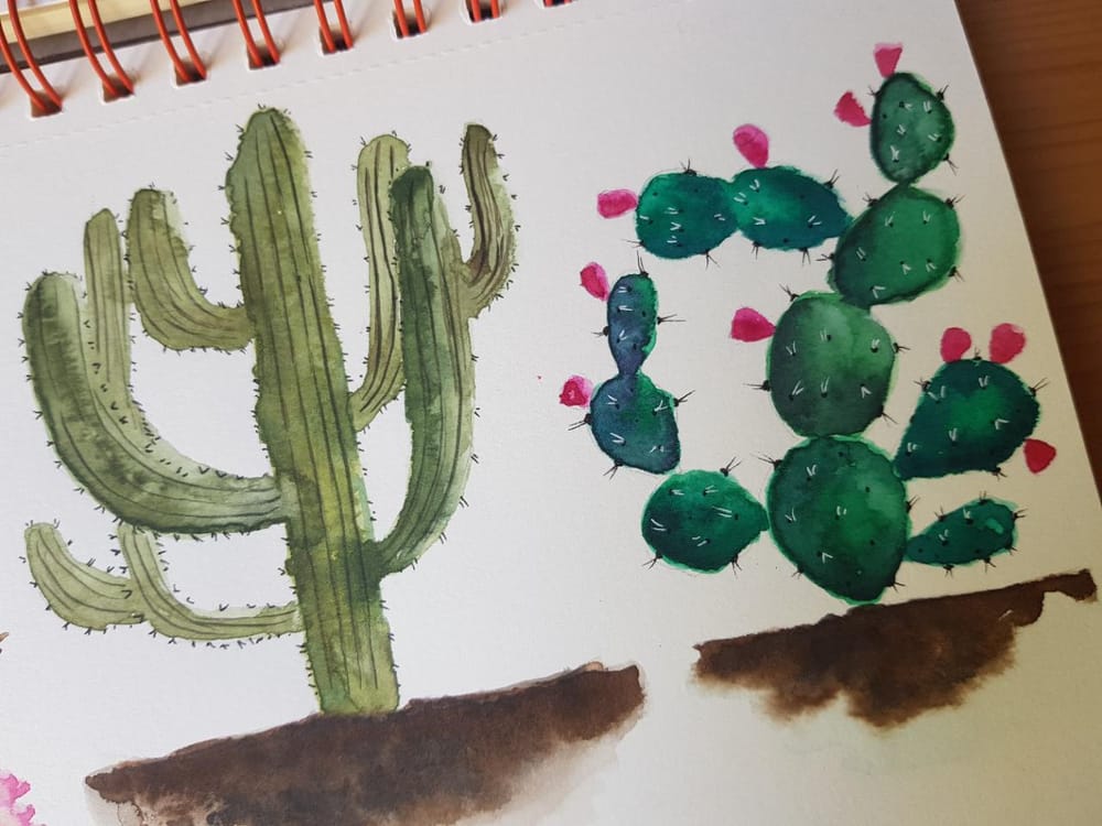 Fun Cacti | Skillshare Student Project