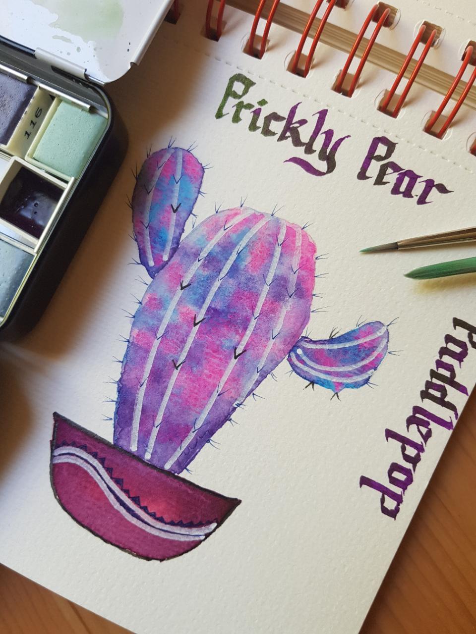 Fun Cacti | Skillshare Student Project