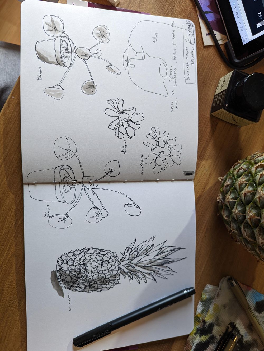 Continuous Line Exercises | Skillshare Student Project