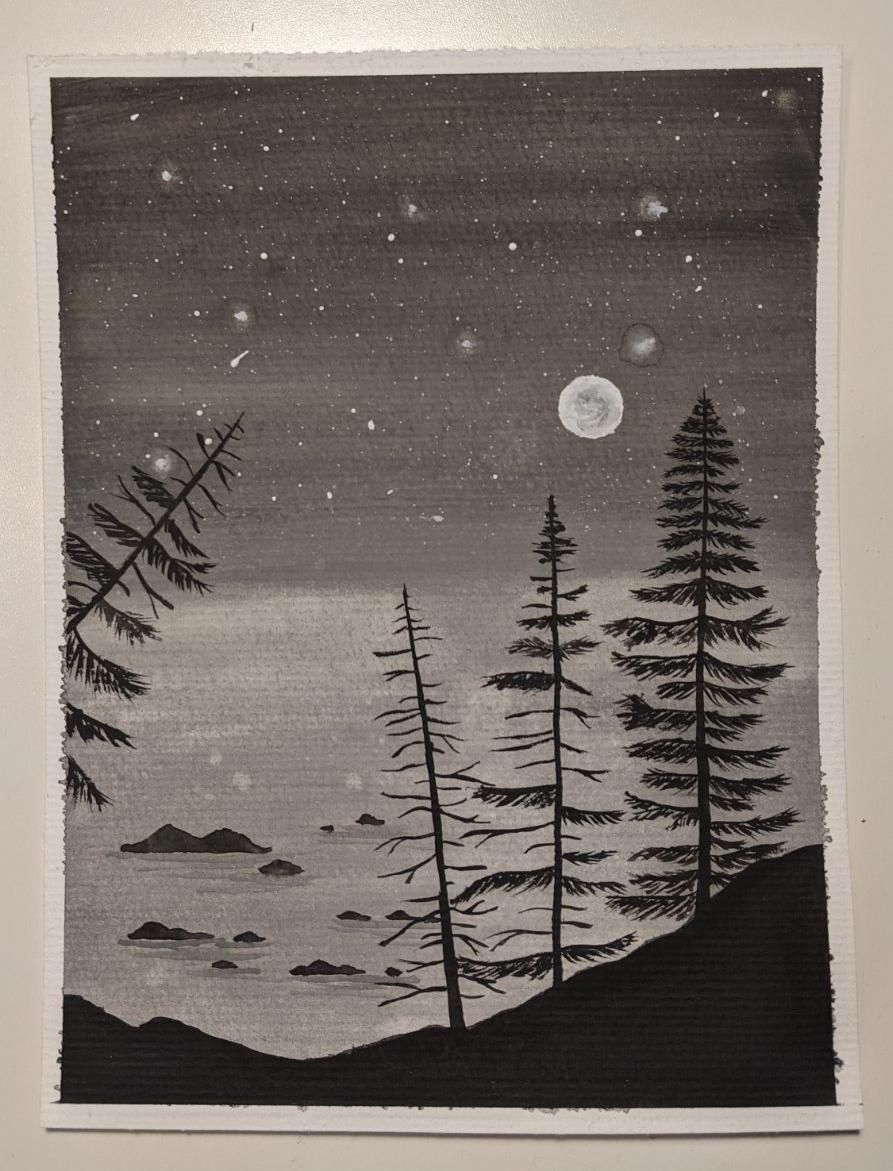 Pine Trees with Night Sky | Skillshare Student Project