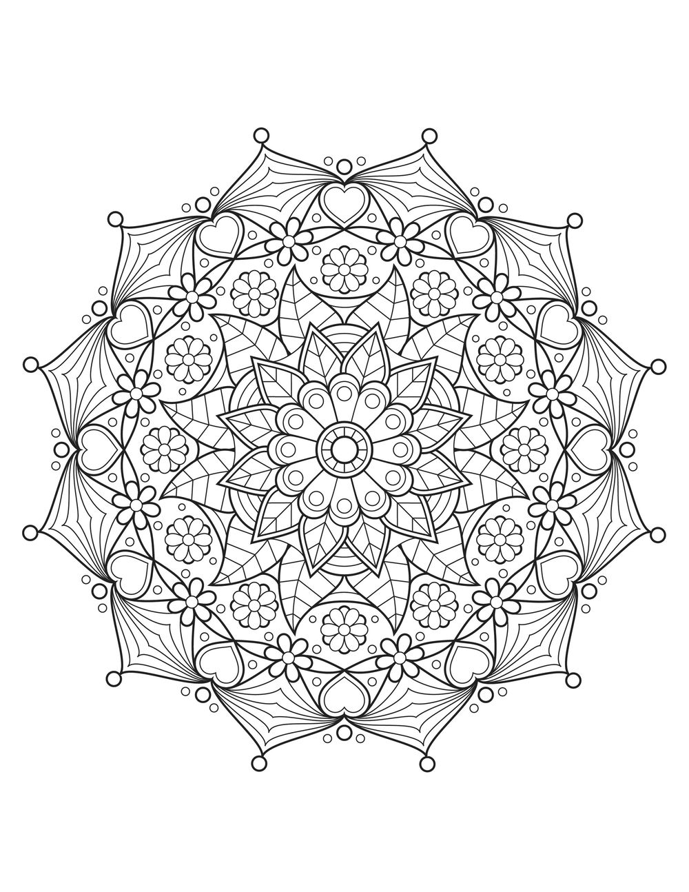 Sample Project | Skillshare Student Project