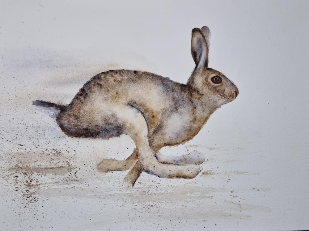 Galloping Brown Hare | Skillshare Student Project