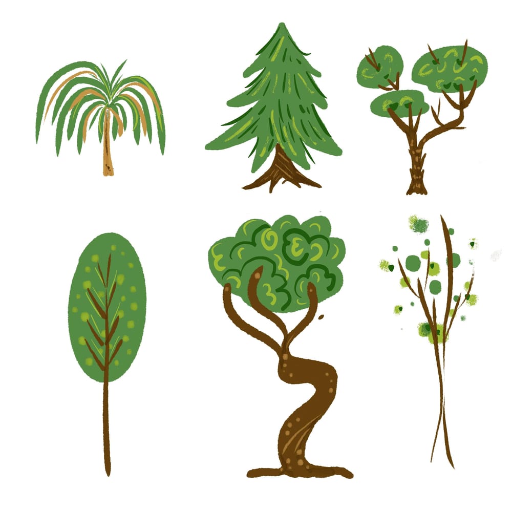 Tree Practice | Skillshare Student Project
