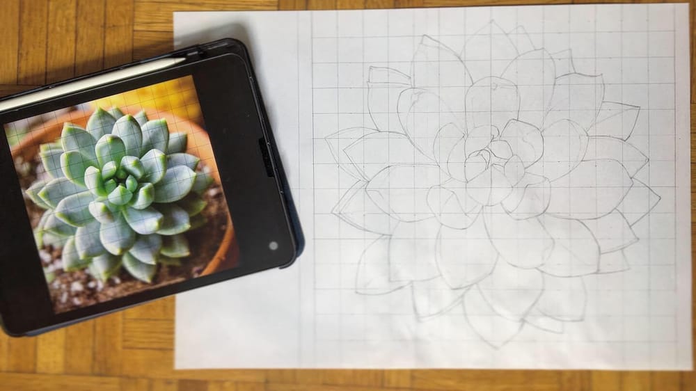 Succulent on a bigger scale | Skillshare Student Project